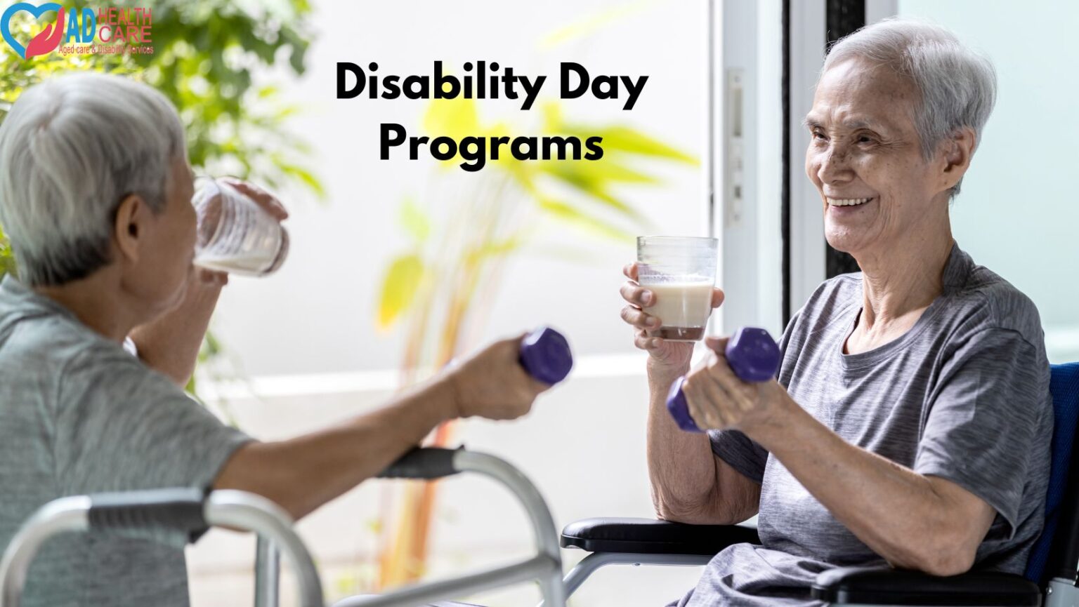 Disability Day Programs in North West Sydney